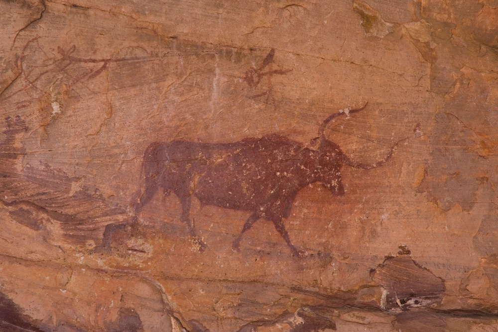 Pinturas rupestres de Villar del Humo y Henarejos | Serrania de cuenca